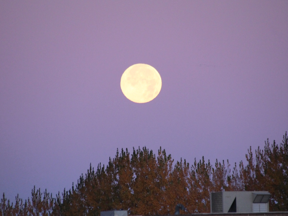 Super Beaver Moon to light up our Westman skies - DiscoverWestman.com - Local news, Weather ...
